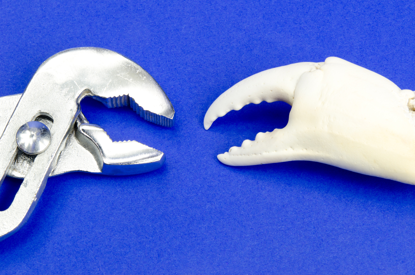 Bionik – Geschichte, Themen und Beispiele – Heilpraxis