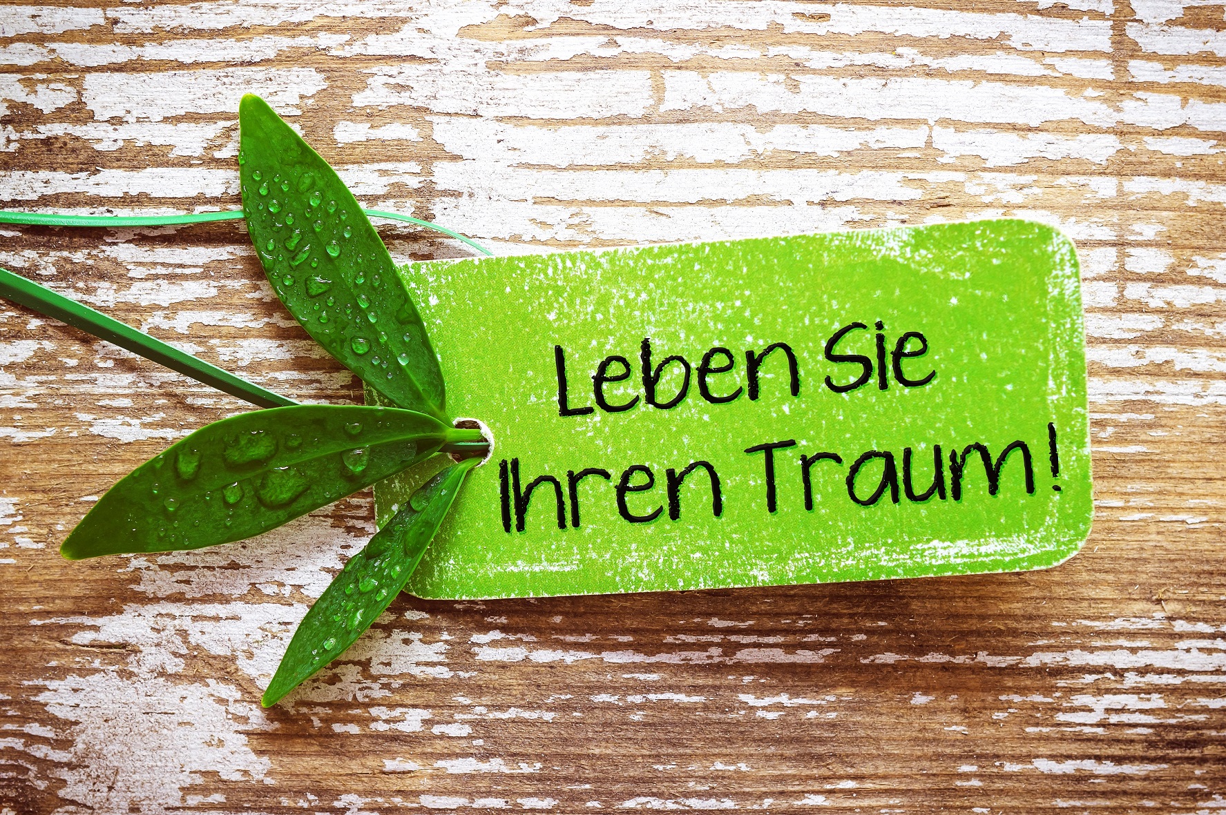 Glückliches Leben: Lebensträume erkennen, einschätzen und umsetzen ...
