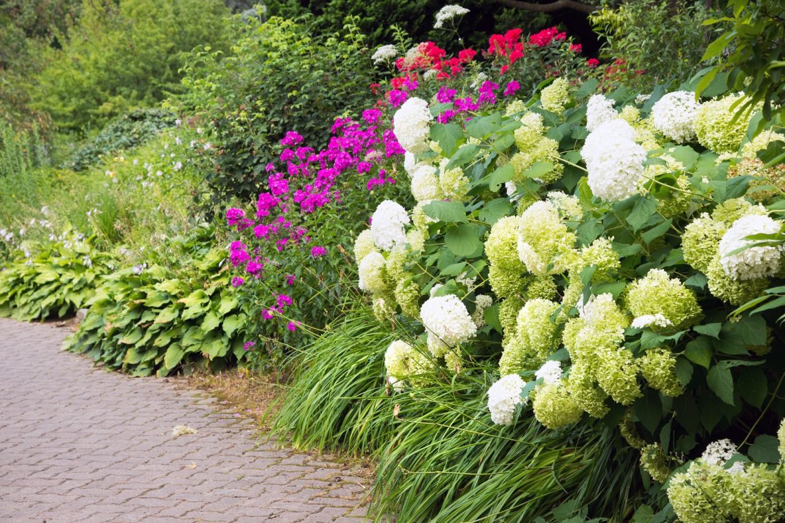 Naturhecke planen und richtig anlegen – Pflanzplan, Pflege und wichtige ...
