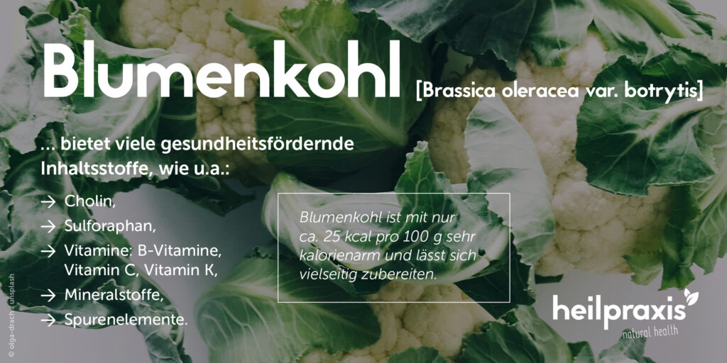 Blumenkohl – Inhaltsstoffe, Wirkung und Anwendung – Heilpraxis