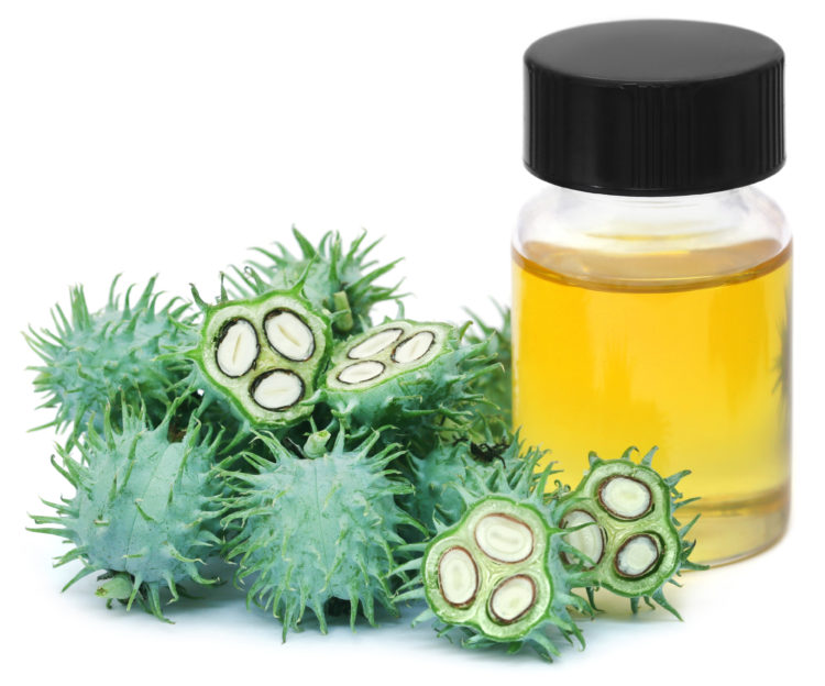 Rizol – Anwendung und Wirkung – Heilpraxis