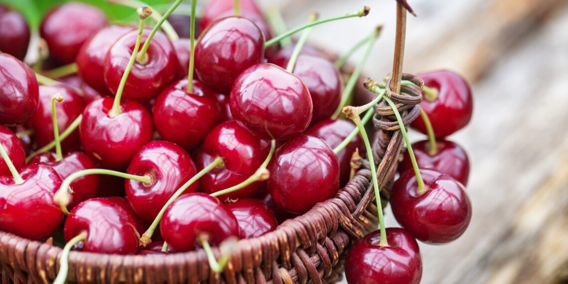 Kirschen – Inhaltsstoffe, Wirkung und Anwendungen – Heilpraxis