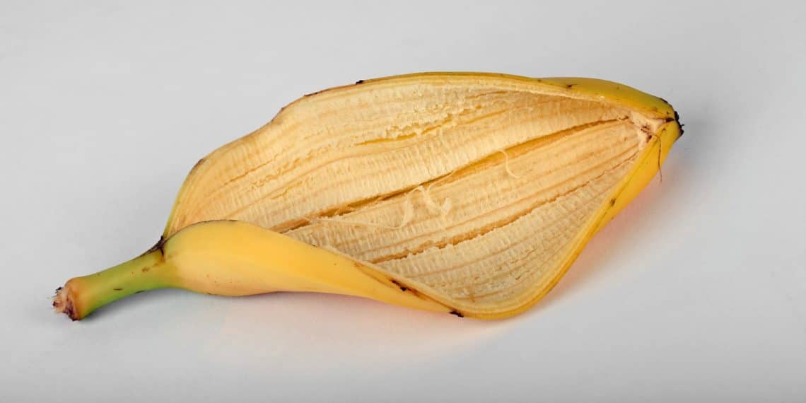 Bananen – Inhaltsstoffe und Verwendung – Heilpraxis