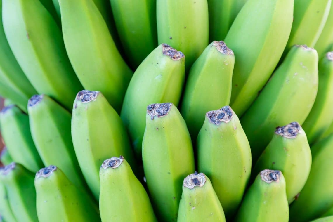 Bananen – Inhaltsstoffe und Verwendung – Heilpraxis