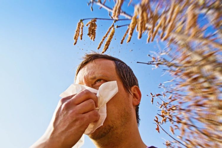 Quaddelbildung – Ursachen, Symptome und Therapie – Heilpraxis