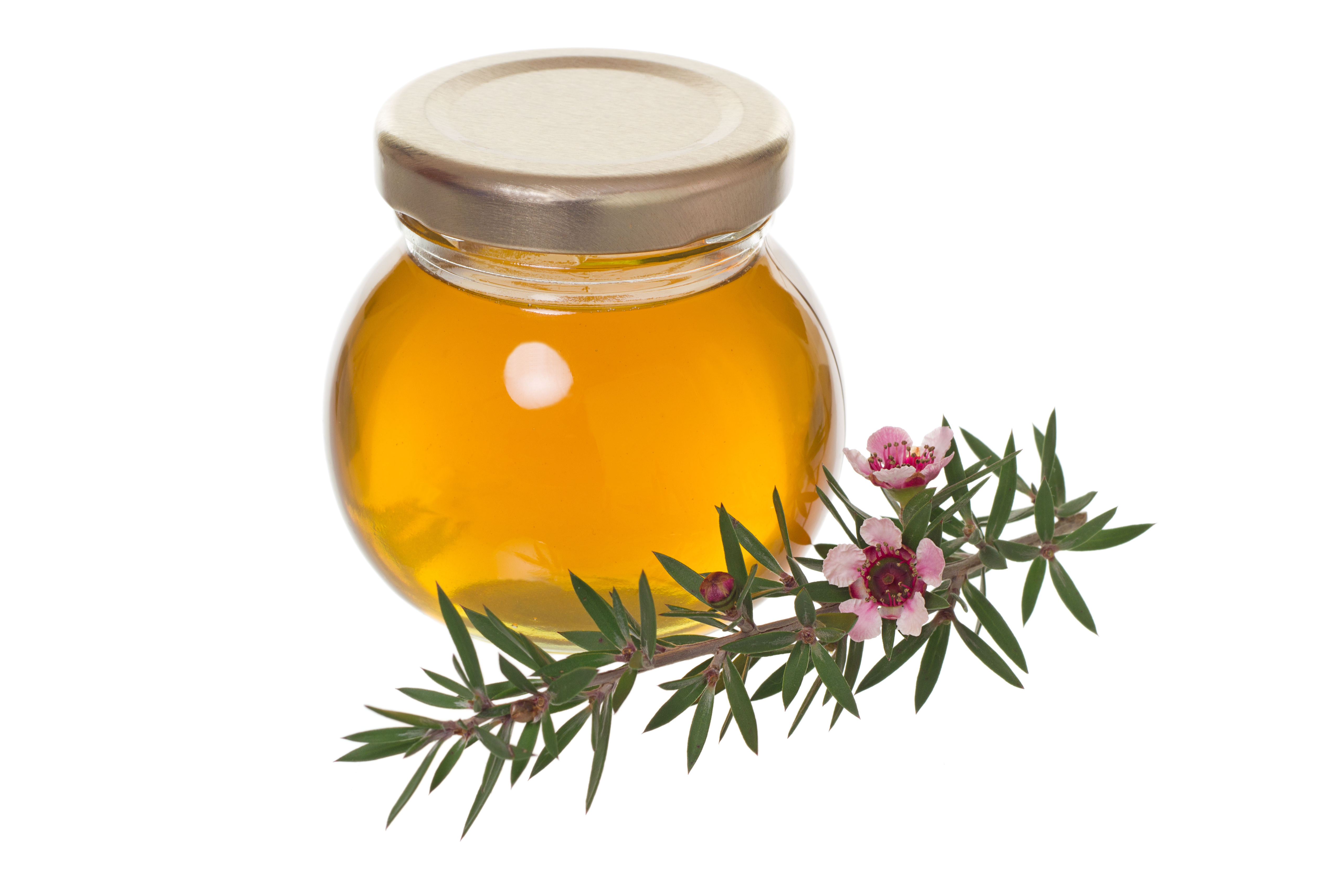 Manuka Honey Helps Against Life threatening Drug resistant Lung Manuka Honey Helps Against Life threatening Drug resistant Lung