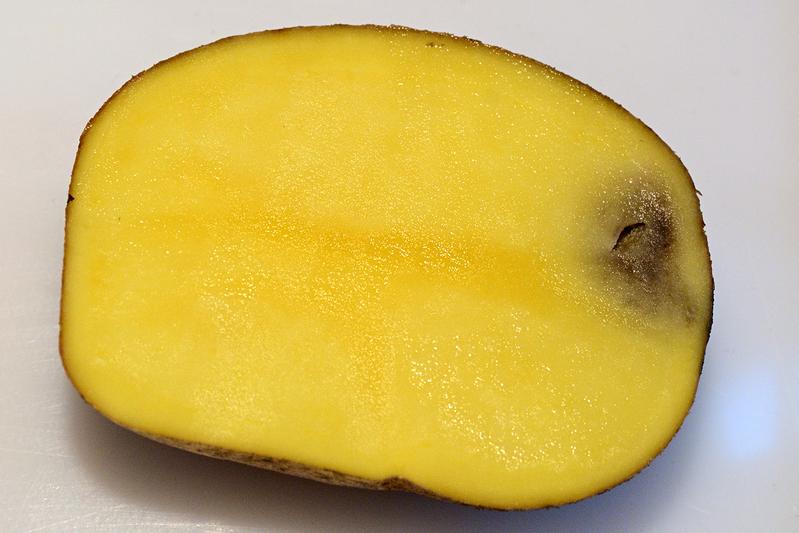 Ernährung: Dunkle Stellen in Kartoffeln – ein Gesundheitsrisiko oder essbar? – Heilpraxis