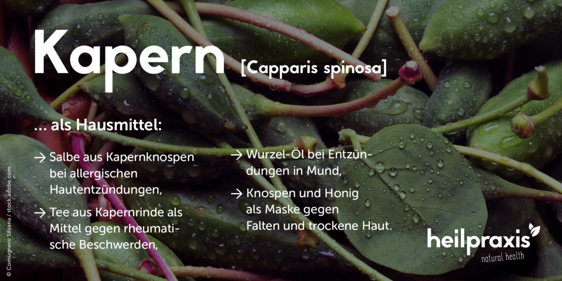 Kapern – gesund und anregend – Heilpraxis