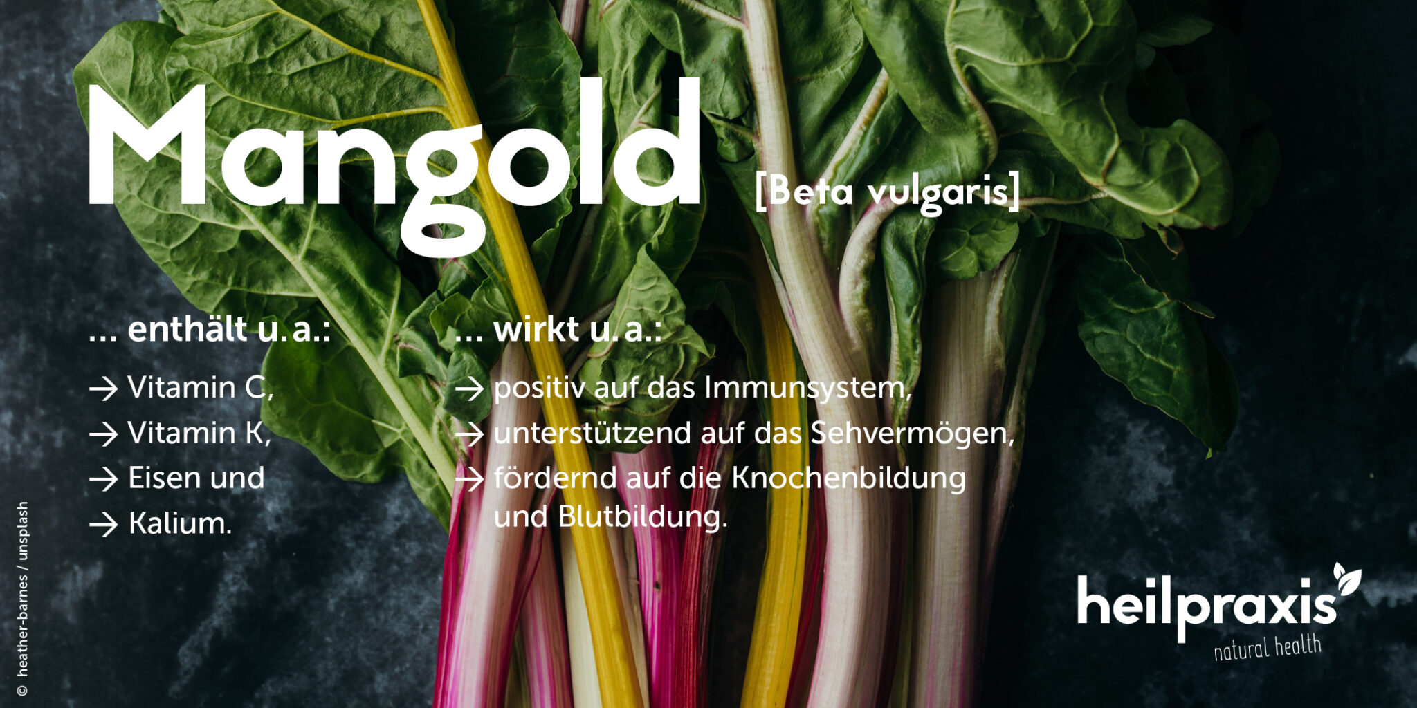 Mangold – Rezepte, Zubereitung, Ernte – Heilpraxis