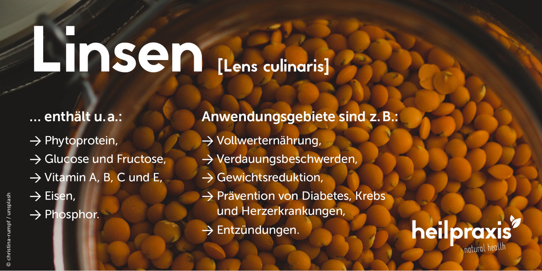 Linsen – Inhaltsstoffe, Wirkung und Anwendung – Heilpraxis
